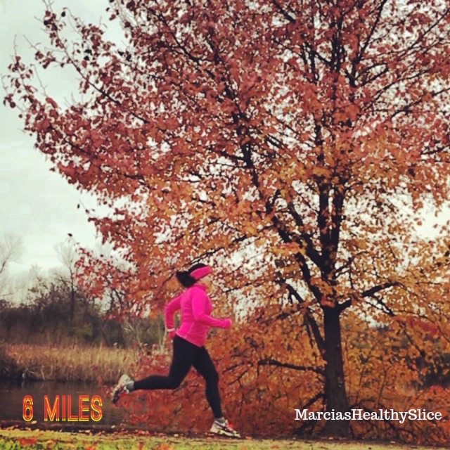 Tokyo Marathon Training With a Blast of Winter - The Healthy Slice